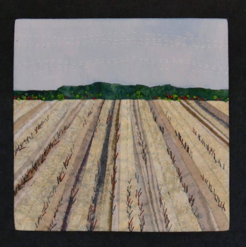 Majsmark - sykit | Thy Patchwork