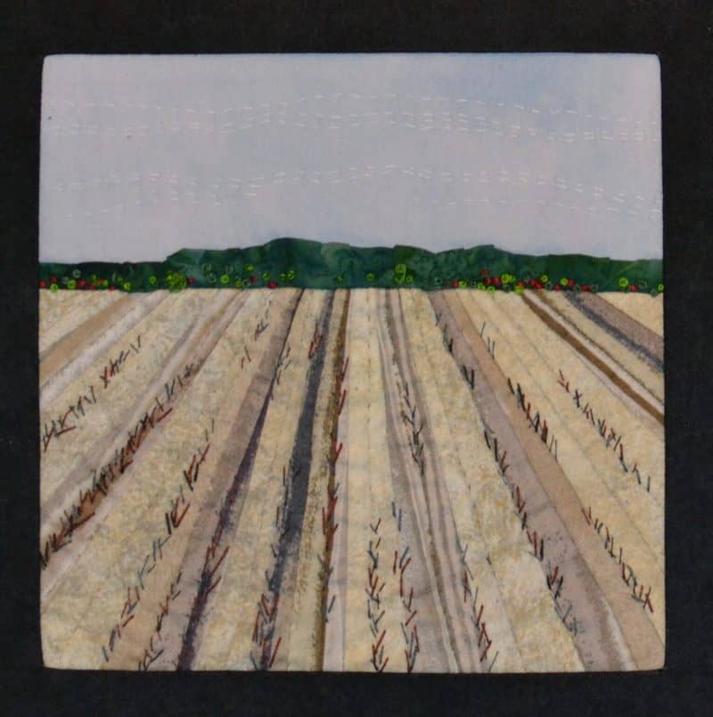 Majsmark - sykit | Thy Patchwork